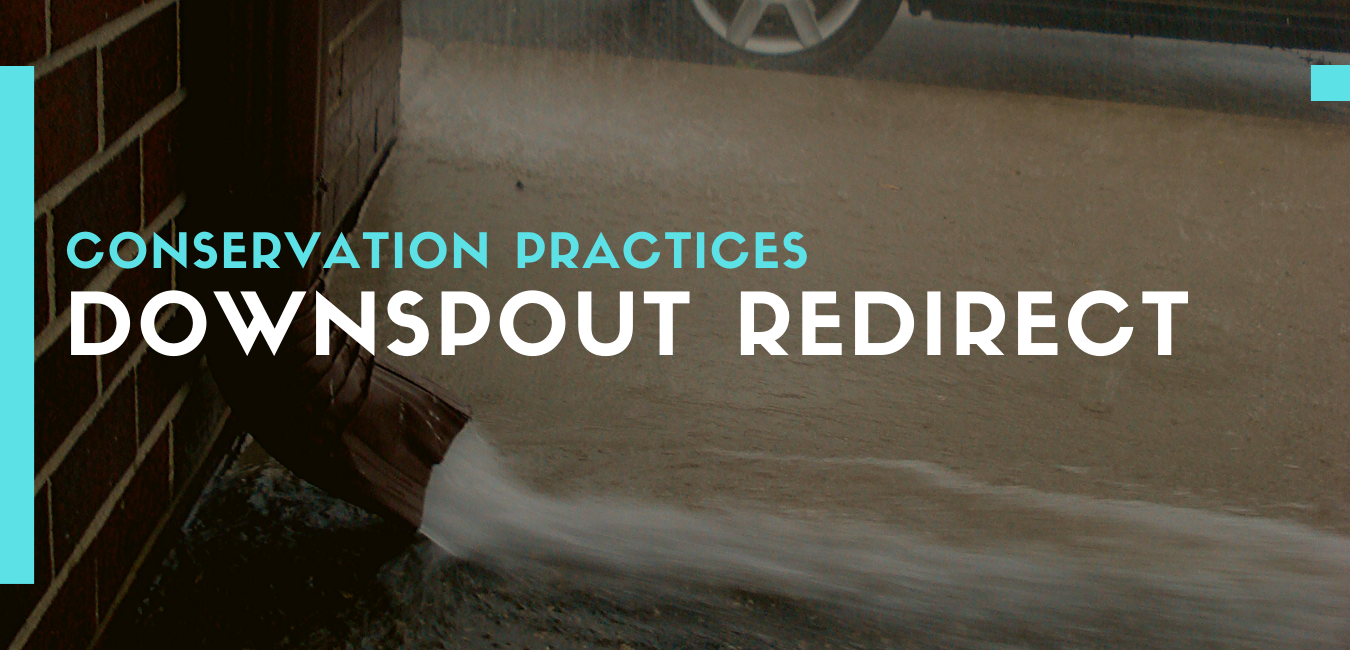 downspout redirect cover – Easter Lake Watershed Project