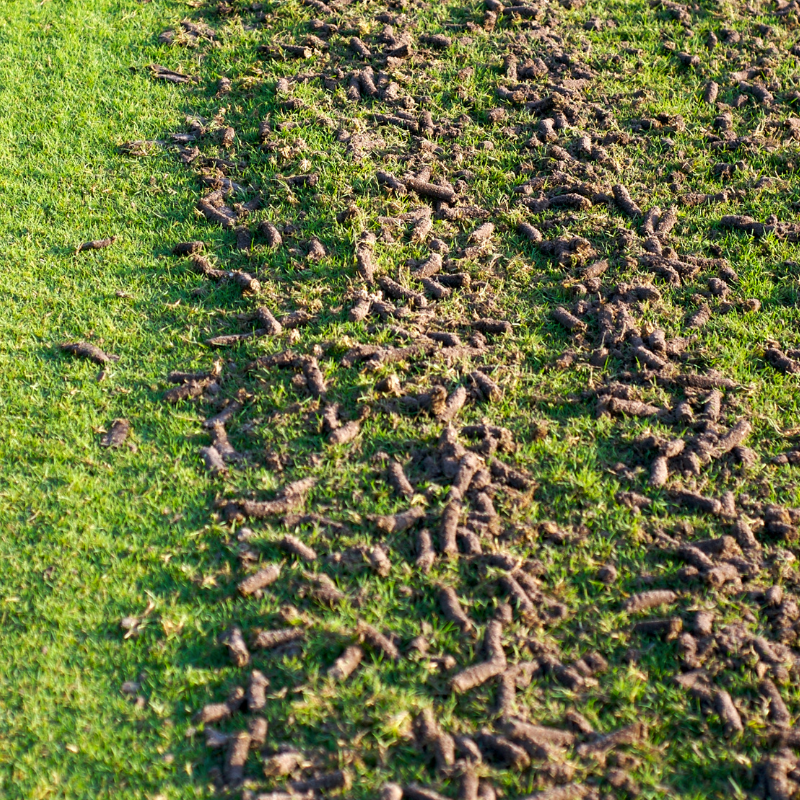 Soil Quality Restoration – Easter Lake Watershed Project