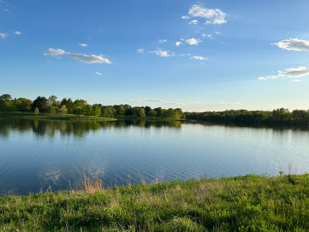 Watershed Projects* – Easter Lake Watershed Project